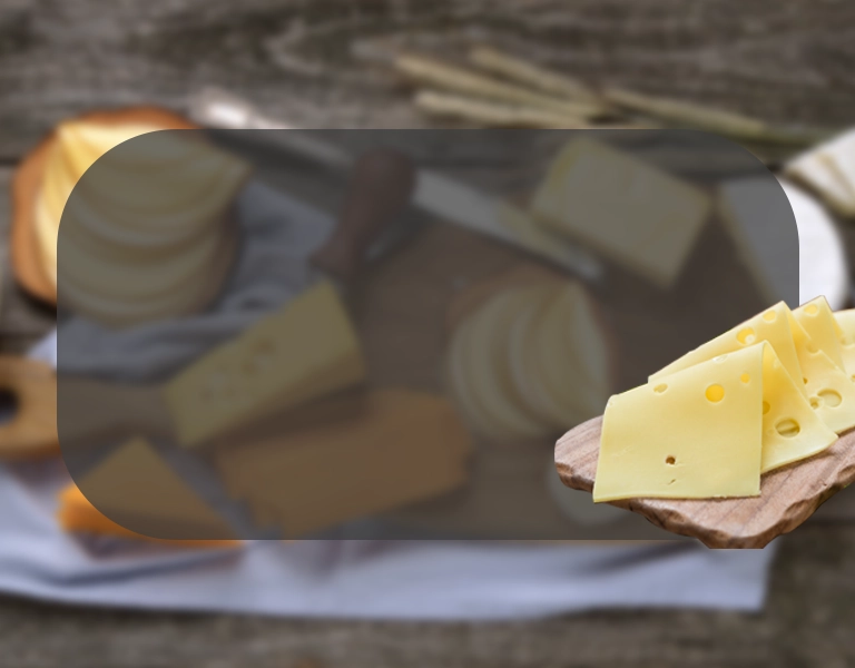 Measure The Color Of Sliced Cheese With Spectrophotometers