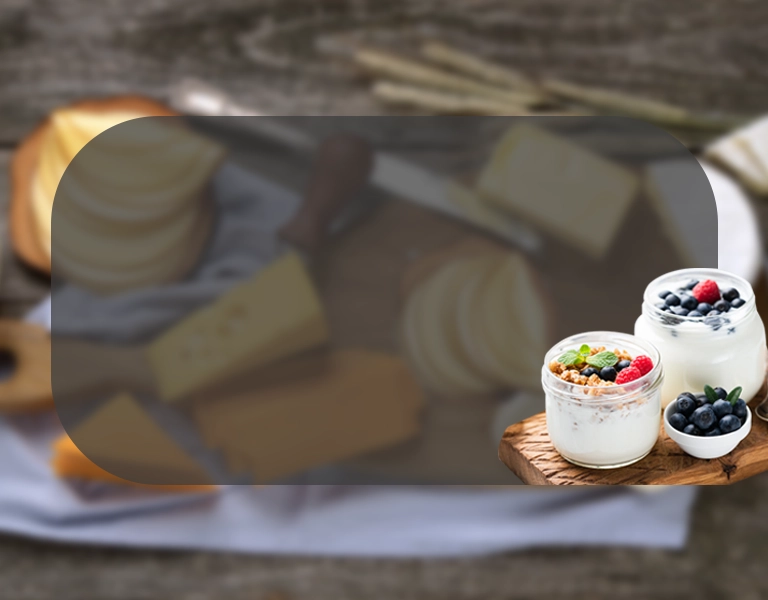 Measure The Colour Of Yogurt | Yogurt Spectrophotometers