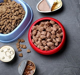 Food Color Measurement Devices | Measure Colors of Food