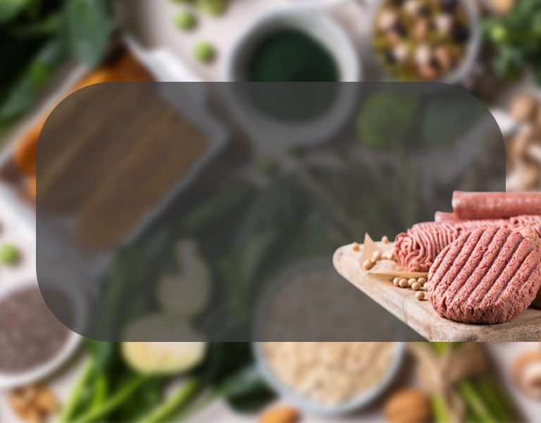 Measure The Color Of Plant Based Meat With A Spectrophotometer